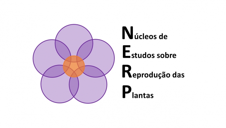 Núcleos de Estudos sobre Reprodução das Plantas (NERP) | Programa de ...
